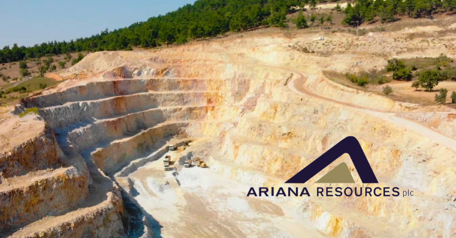 Investor Meet Company