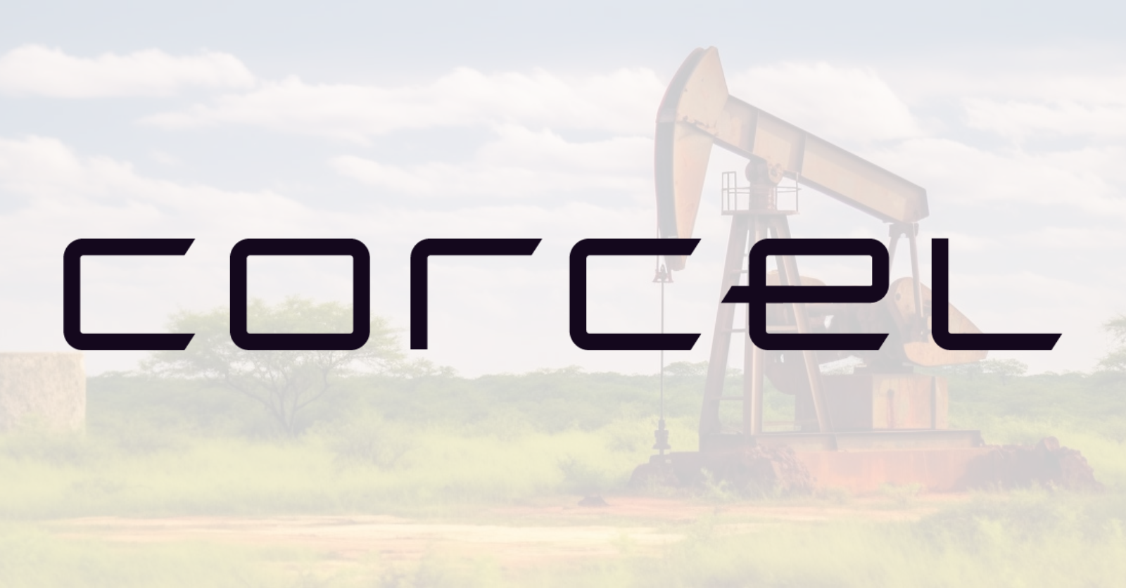 Investor Meet Company