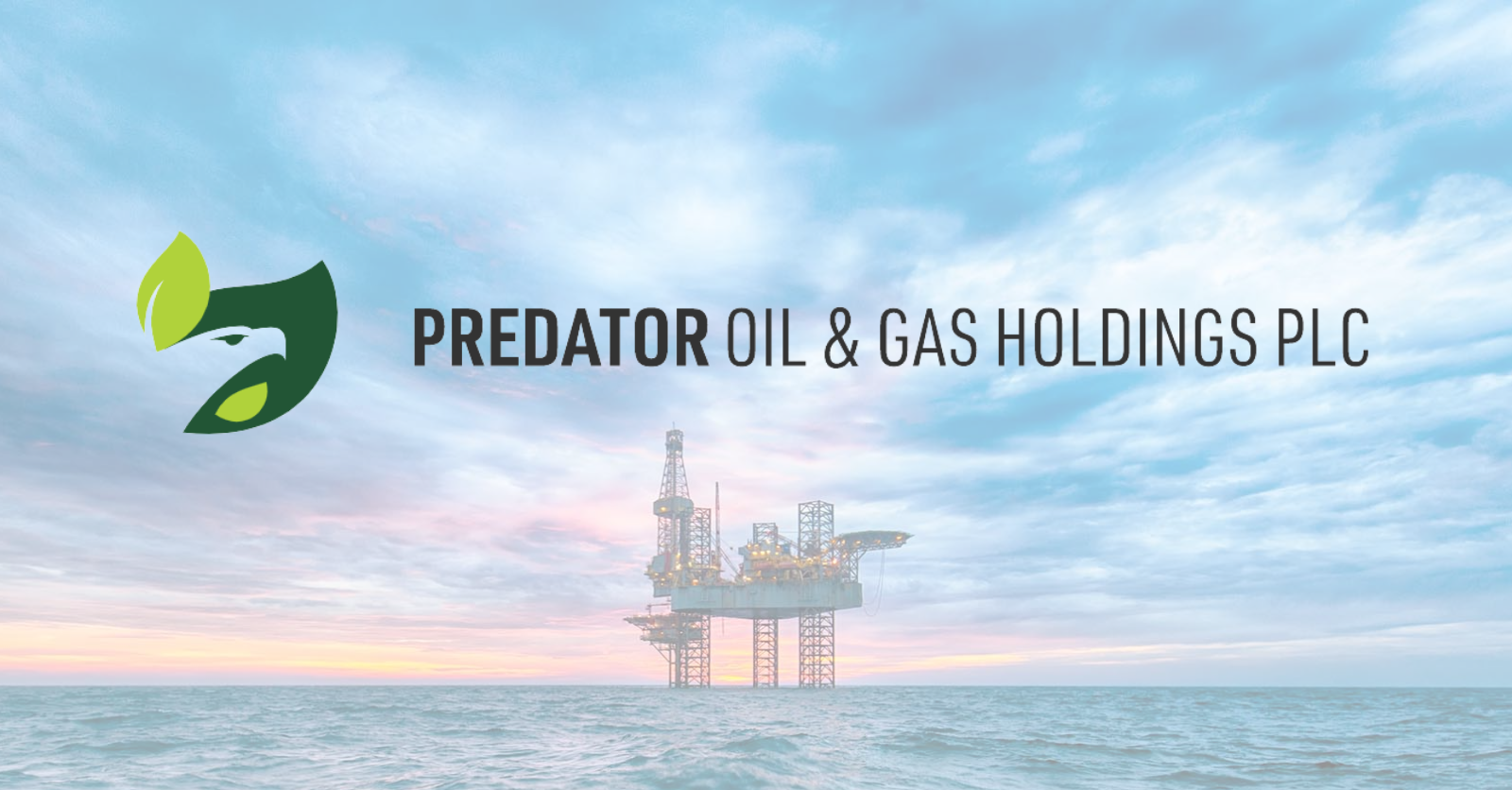 Investor Meet Company