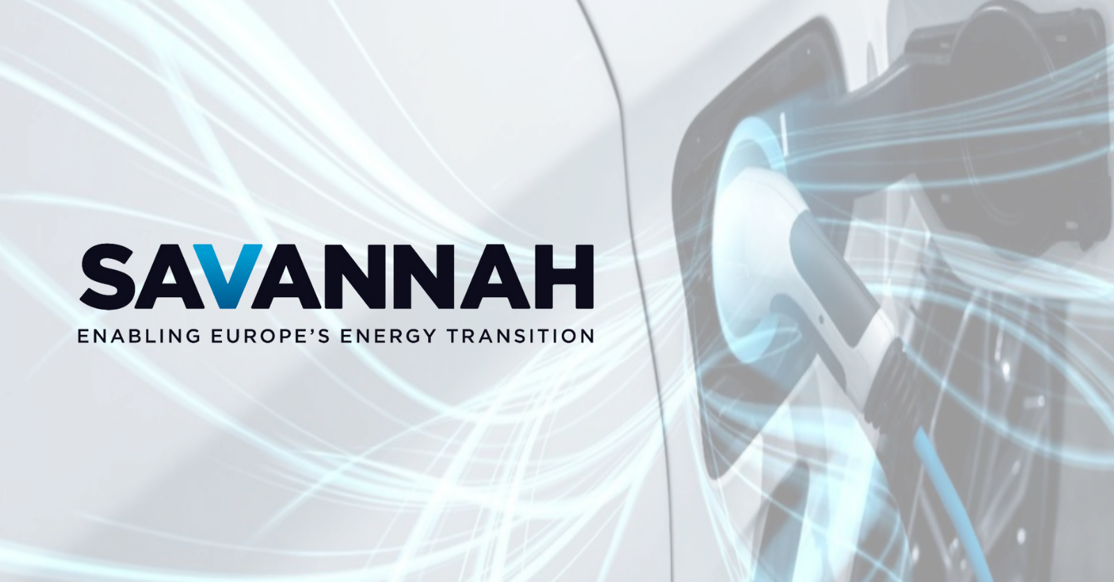 Investor Meet Company